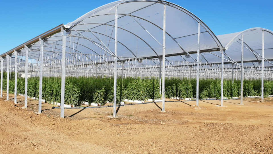 Nos Serres - Agrilogic