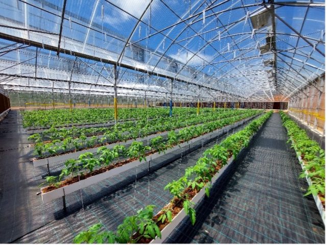 Nos Serres - Agrilogic