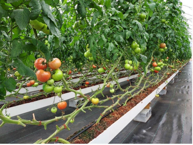 Nos Serres - Agrilogic